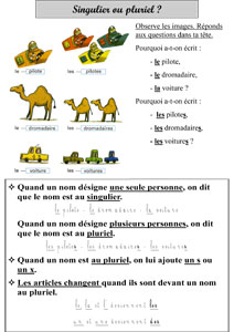 CE1 - Singulier / pluriel ~ La Classe des gnomes